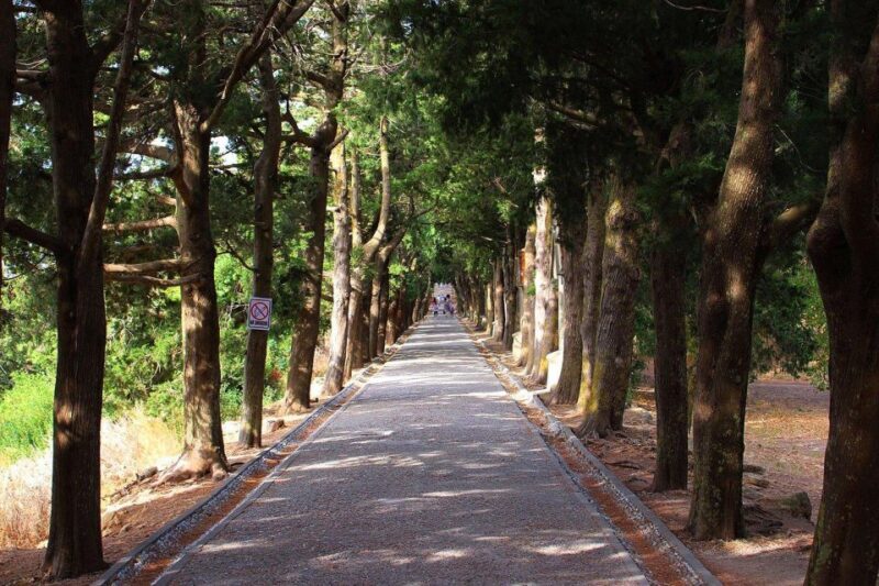 Private:Filerimos Hill, Ancient Kamiros,Kritinia Castle Tour - The Comfort of Private Transportation and Flexible Scheduling