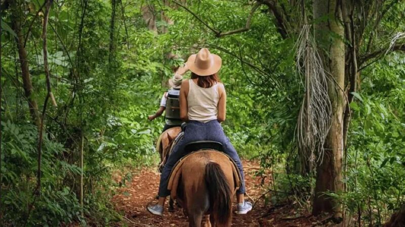 Private:Los Haitises: Kayak and Horseback Riding Tour - An In-Depth Look at What to Expect