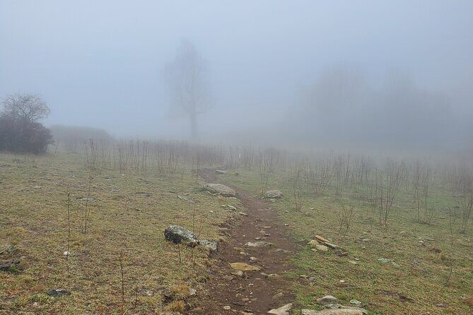 Privately Guided Full Day Hike - The Itinerary: What to Expect from Start to Finish