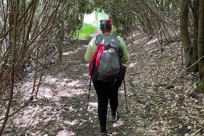 Privately Guided Full Day Hike - Who Is This Tour Best For?