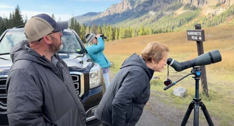 Privately Guided Safari at Sunset from West Yellowstone - Key Points