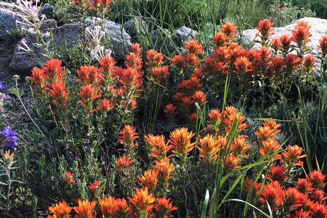 Privately Guided Scenic Mountain Hike - FAQ