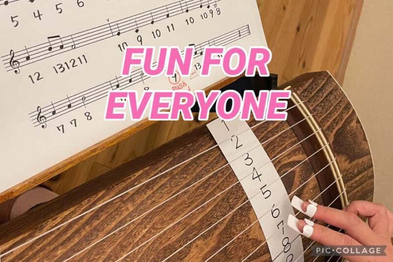 Privately visit local home for tea ceremony &music, Tokyo - The Sum Up