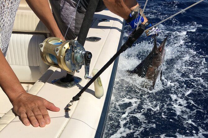 Pro Series Full Day Deep Sea Fishing with Wahooters - Who Should Consider This Tour?