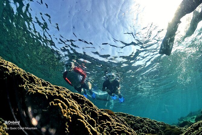 PRO-SNORKELING to Explore Hidden Coral Reefs (MAX 12 PAX) - An Introduction to the Experience