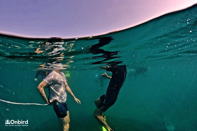 PRO-SNORKELING to Explore Hidden Coral Reefs (MAX 12 PAX) - Who Will Love This Tour?