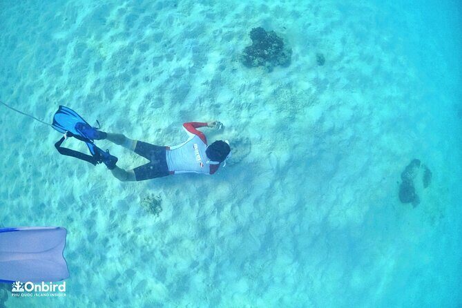 PRO-SNORKELING to Explore Hidden Coral Reefs (MAX 12 PAX) - Final Thoughts on Value and Suitability