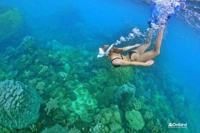 PRO-SNORKELING to Explore The Coral Jungle REEF (MAX 10 PAX) - An In-Depth Look at the Snorkeling Adventure on Phu Quoc