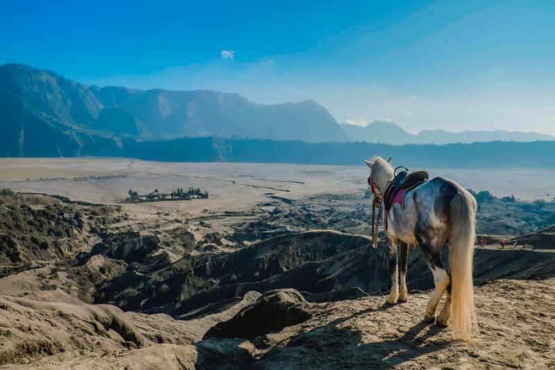 Probolinggo: Dawn Journey to Mount Ijen Sunrise Expedition - FAQ