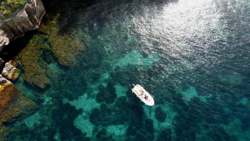Procida: Boat Tour with Swimming Stops and Underwater Photos - A Closer Look at the Procida Boat Tour Experience