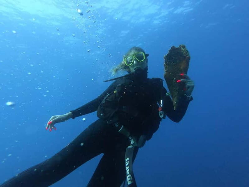 Professional Diving & Blue Cave Tour with Lunch from Split - An Honest Look at the Tour Experience