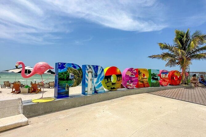 Progreso, Flamingos, Cenote, and Salt Ponds adventure from Merida - Practical Details and What to Expect