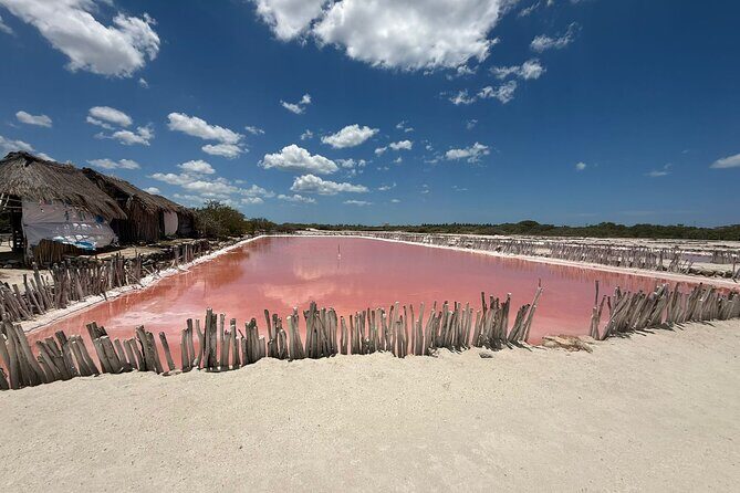Progreso, Flamingos, Cenote, and Salt Ponds adventure from Merida - The Sum Up