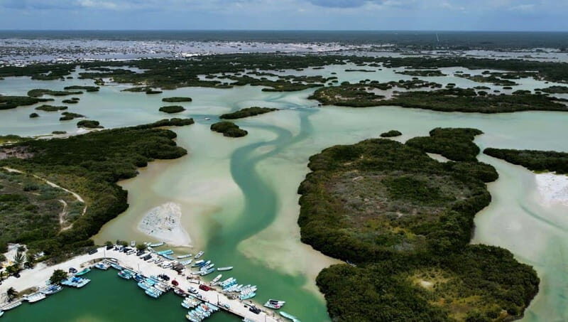 Progreso: Isla Columpios and Pig Beach Club Day Pass - An In-Depth Look at the Experience