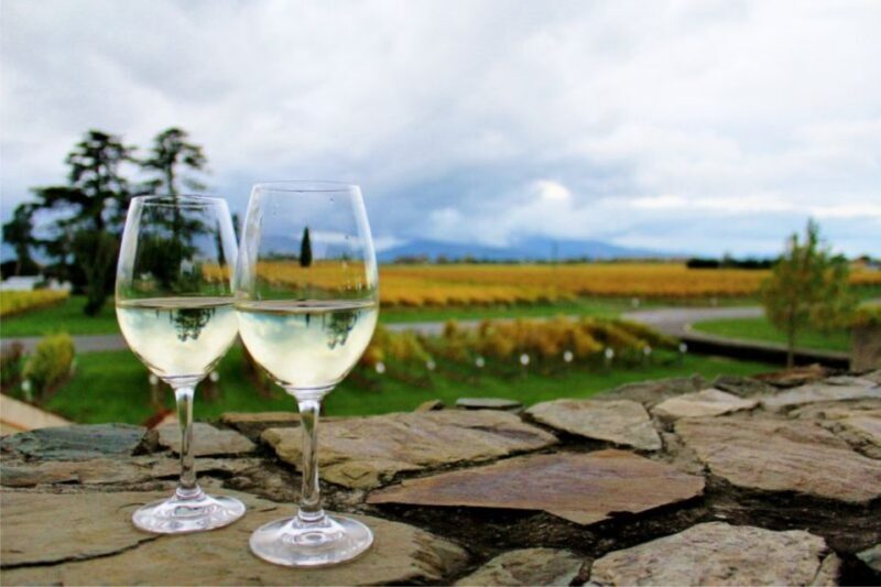 Progressive Wine & Gourmet Trail from Blenheim or Picton - Key Points