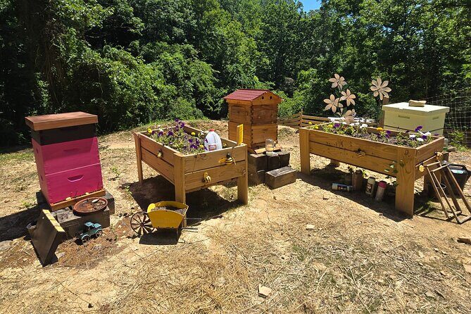 Promise Land Bee Farm Private Tour in Charleston - Analyzing the Value and Practicalities