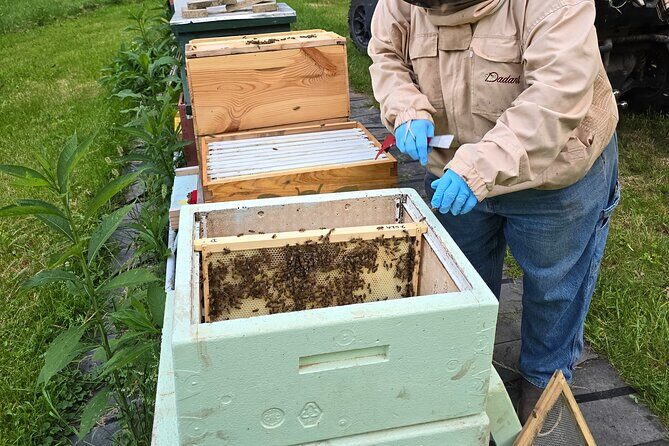 Promise Land Bee Farm Private Tour in Charleston - The Sum Up