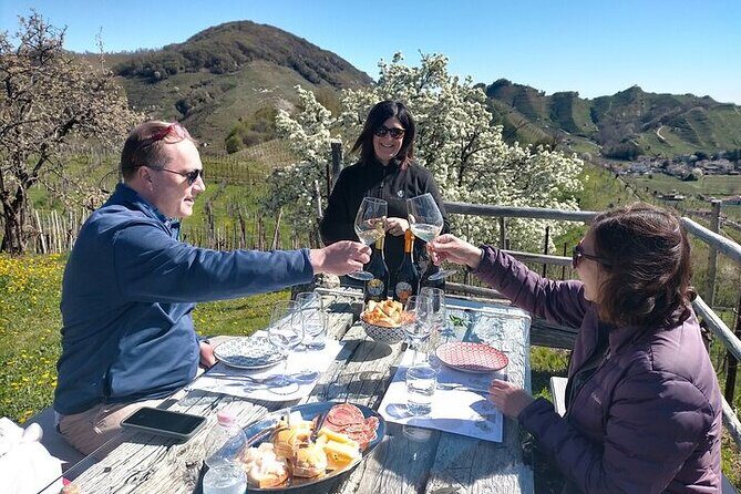 Prosecco experience. Wine tasting. Full day from Treviso - Exploring the Itinerary: What to Expect