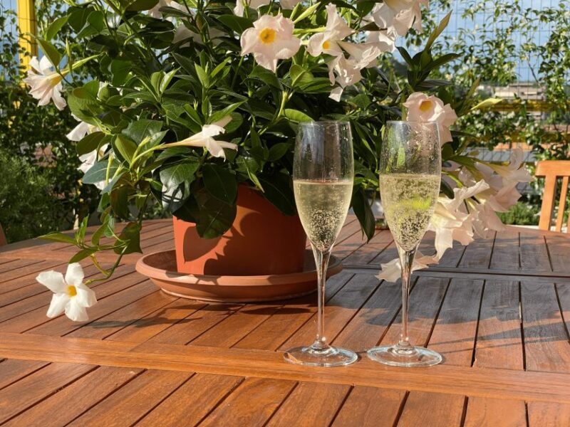 Prosecco Hills Private Tour All inclusive. 2 wineries+lunch - Key Points