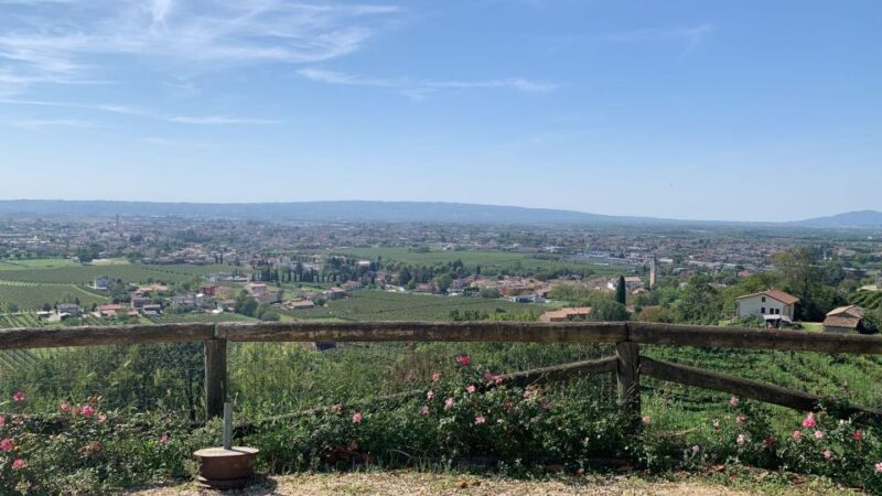 Prosecco Hills Private Tour All inclusive. 2 wineries+lunch - The Cost & Value