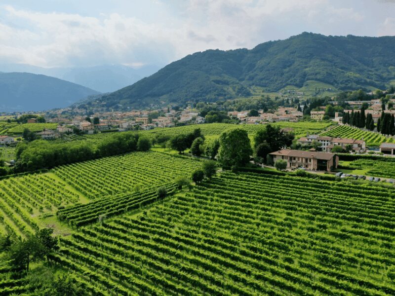 Prosecco Tasting in Countryside Winery - Prosecco Tasting in Countryside Winery: A Practical Guide for Curious Travelers