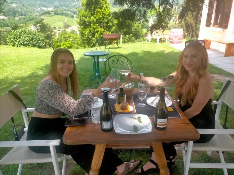 Prosecco Wine Tasting Tour. Half Day. From Venice - Who Will Love This Tour?