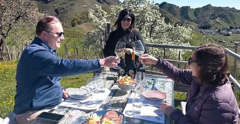 Prosecco Wine Tour. Full Day - 2 Wineries. From Venice - What the Reviews Say