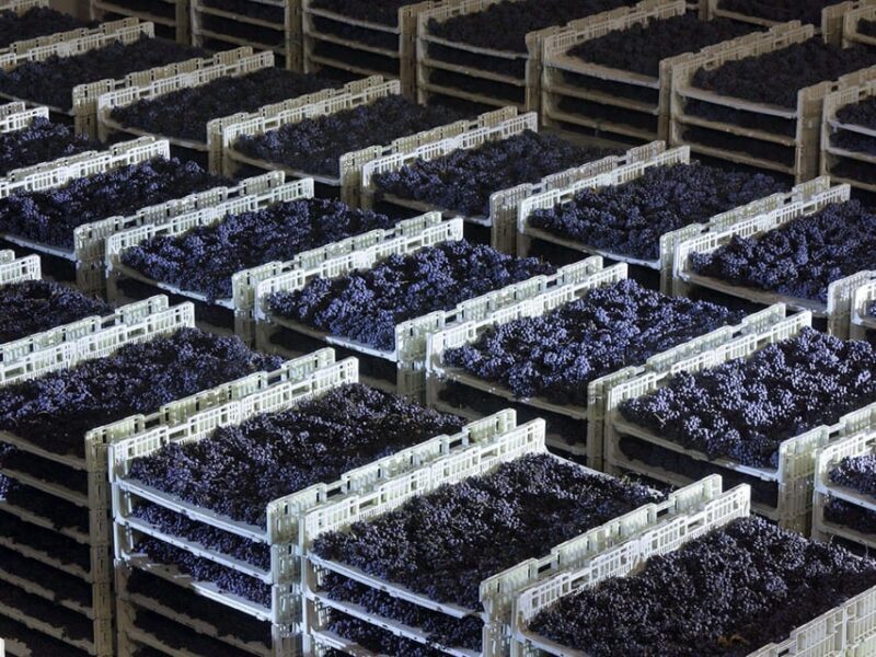 Prosecco Winery Tasting with Food Pairing near Venice - Key Points