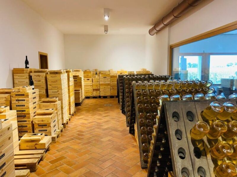 Prosecco Winery Tasting with Food Pairing near Venice - A Deep Dive into the Experience