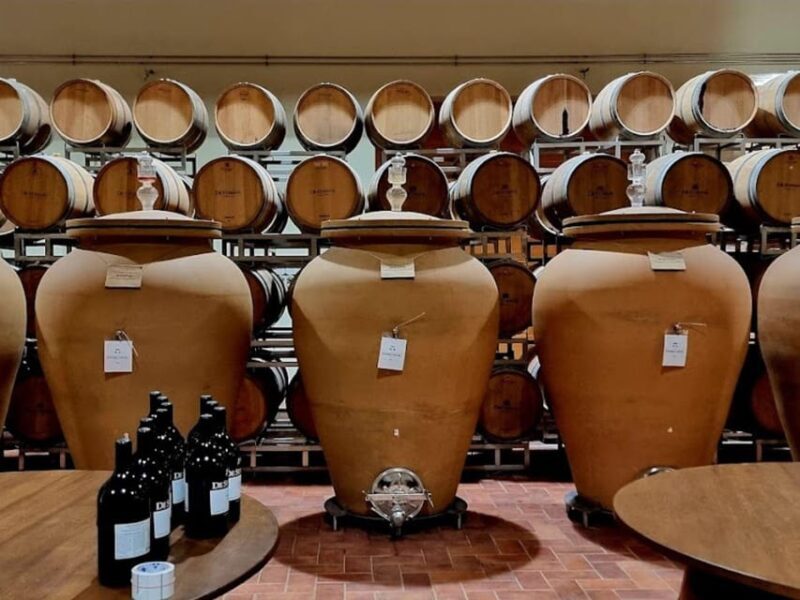 Prosecco Winery Tasting with Food Pairing near Venice - Final Thoughts