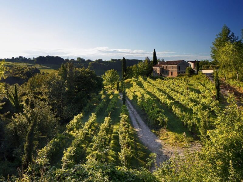 Prosecco Winery Tasting with Food Pairing near Venice - FAQ