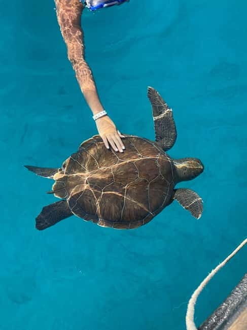 Protaras: Blue Lagoon and Turtles Pirate Cruise - The Experience in Detail