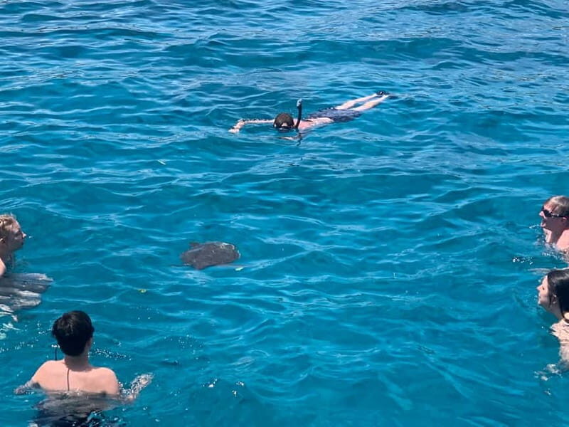 Protaras: Harmony | Luxury boat, Value Turtle Adventure - An Authentic Look at the Cruise Experience