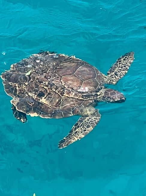 Protaras: Waterworld Turtle Cove Cruise with Swim Stops - Onboard Amenities and Food Options