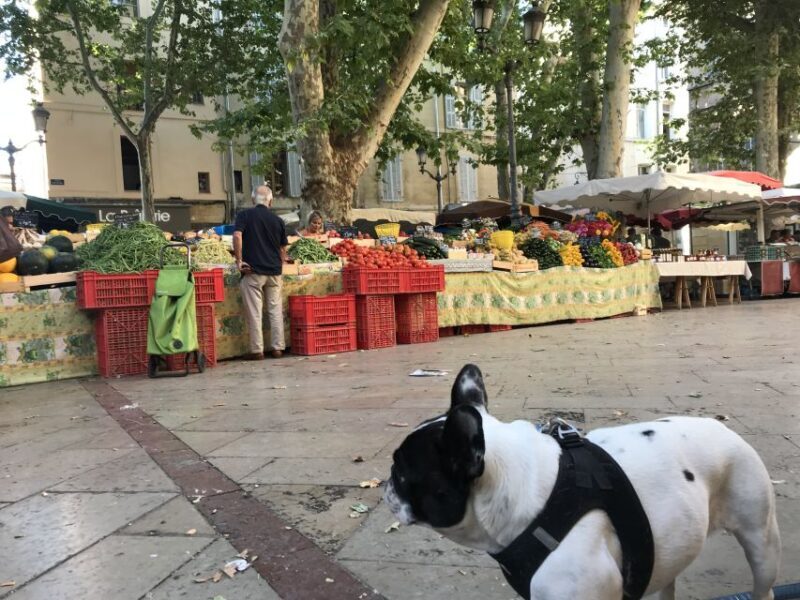 Provencal Market Walking Tour with Tastings - Final Thoughts