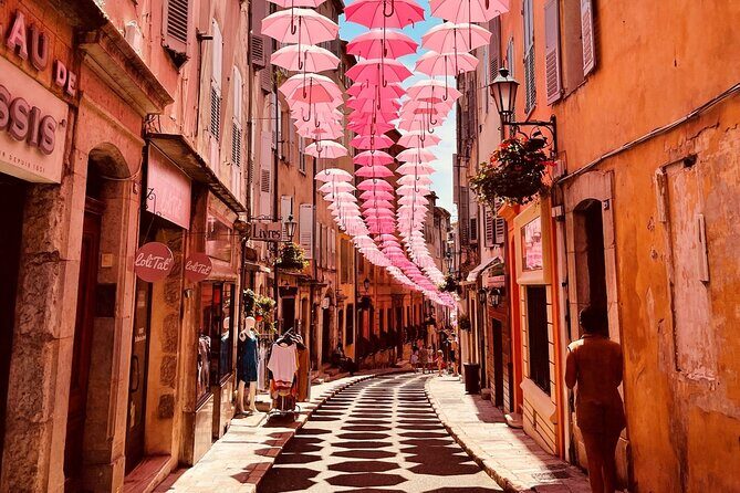 Provence Countryside and its Medieval Villages Private Tour - Who Should Consider This Tour?