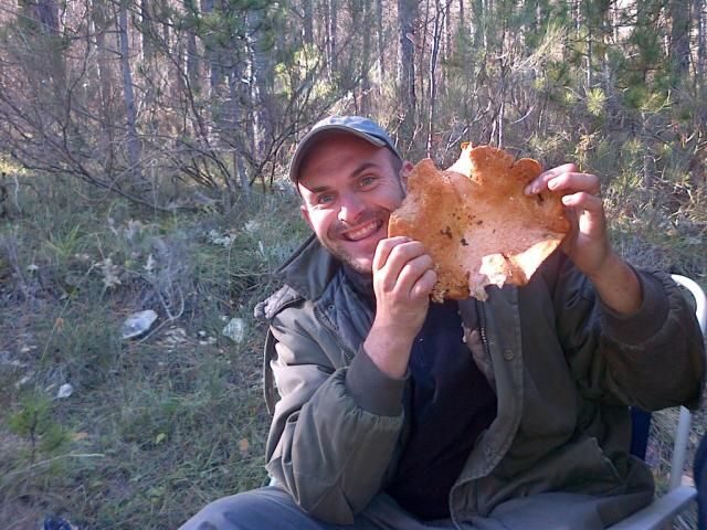 Provence: Mushroom Hunting with Outdoor Breakfast - Exploring the Provençal Forests and Mushroom Hunting