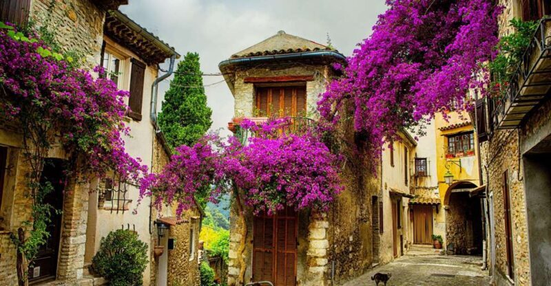 Provence private tour: Aix-en-Provence, (Marseille) & Cassis - Key Points