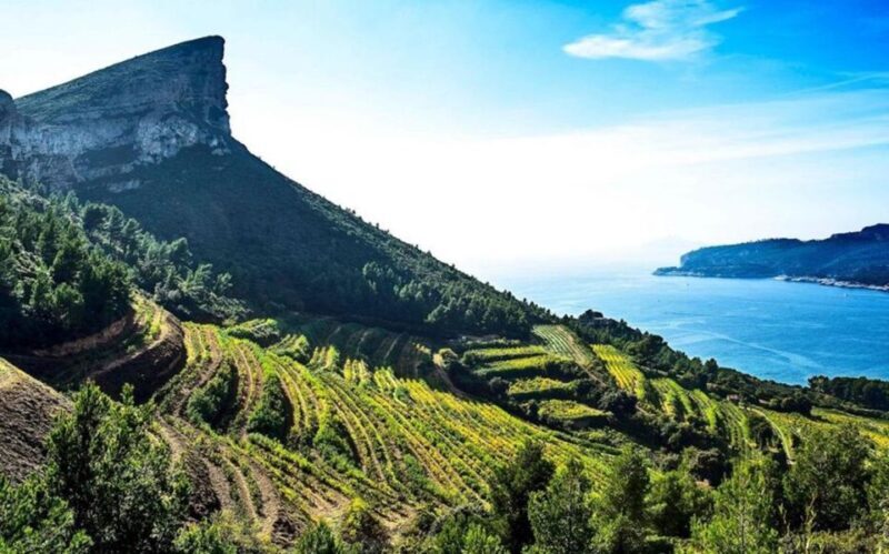 Provence private tour: Aix-en-Provence, (Marseille) & Cassis - Why Choose This Provence Private Tour?