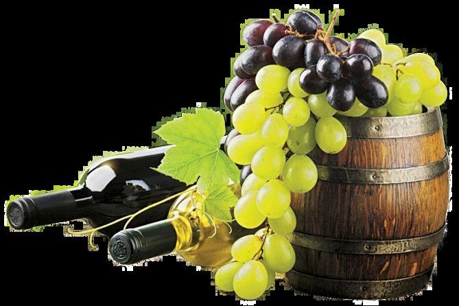 provence wine tasting - Who Will Love This Tour?