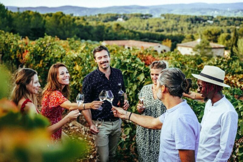 Provence Wine Tour - Small Group Tour from Cannes - Who Should Consider This Tour?