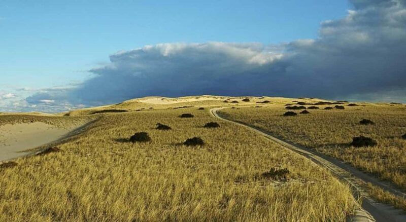 Provincetown: Cape Cod National Seashore Park Dune Tour - Exploring Cape Cods Dunes — What You Can Expect