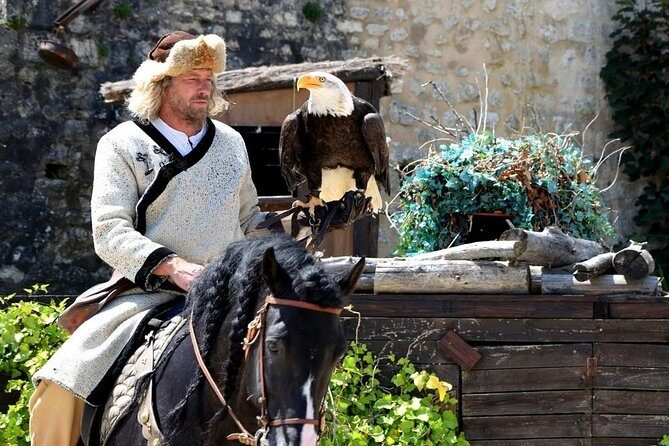 Provins - Medieval City Tour - Private Trip - Who Will Enjoy This Tour?