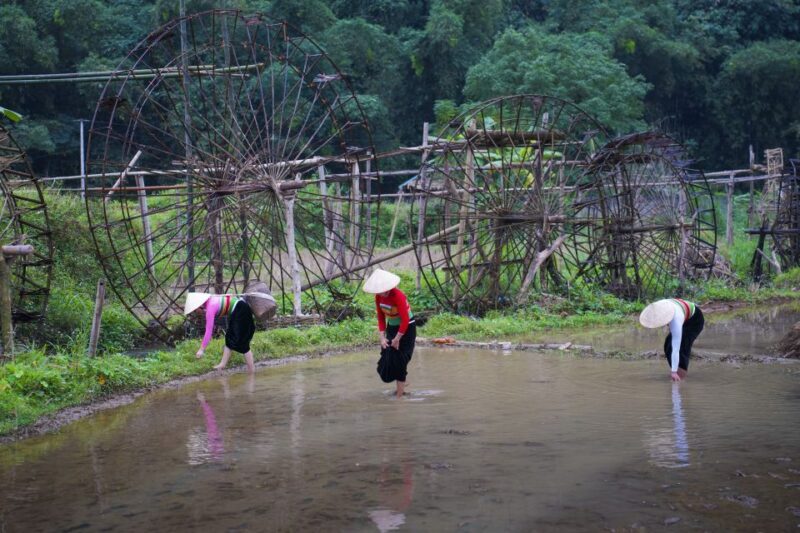 Pu Luong 2 Days 1 Night - Trekking, cloud hunting - Why This Tour Offers Value