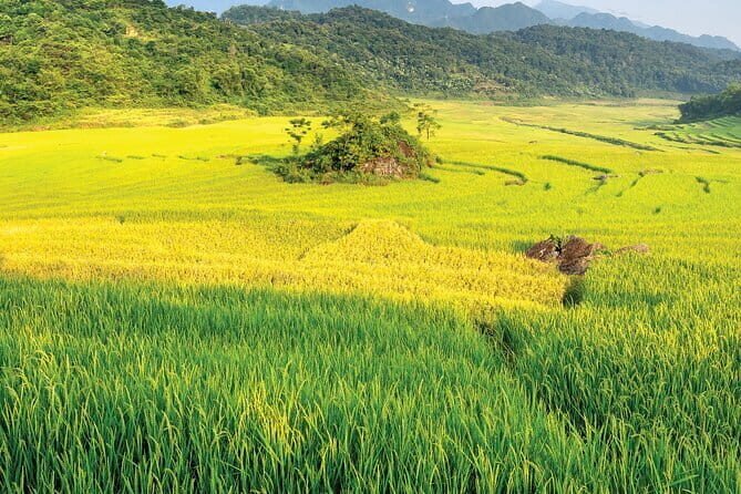 Pu Luong: 3-Day Adventure with Trekking, Cycling & Cooking Class - Key Points