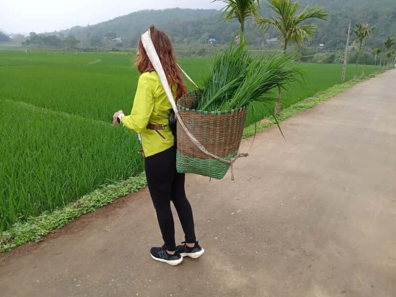 Pu Luong 3 Days 2 Nights From Hanoi (Hanoi Old Quarter) - The Itinerary in Detail: Real Insights Into the Experience