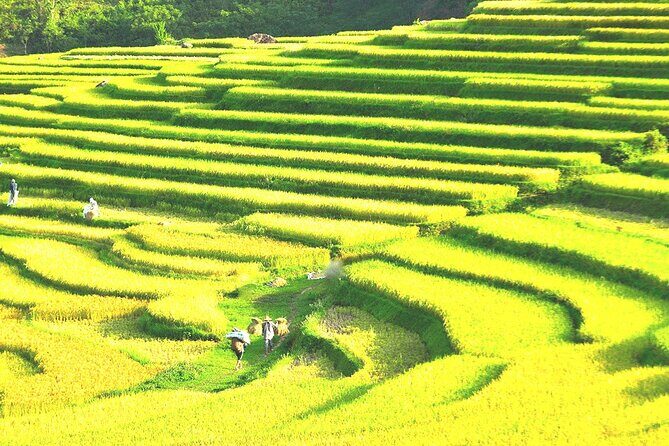 Pu Luong Day Trip from Hanoi (Lunch, Caving, Walking and Biking) - The Experience of Activities