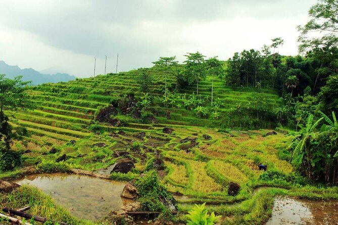 Pu Luong Experience 3 Days Tour: Hieu Waterfall, Infinity Pool, Cave Explorer - Authenticity, Comfort, and Value