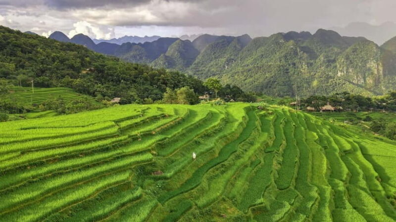 Pu Luong: Half-Day Trekking Tour with Local Farm Visit - An Authentic Day in Pu Luong Without Overcommitting