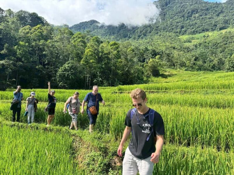 Pu Luong: Half-Day Trekking Tour with Local Guide - Exploring Pu Luong: A Balanced Look at the Half-Day Trekking Tour